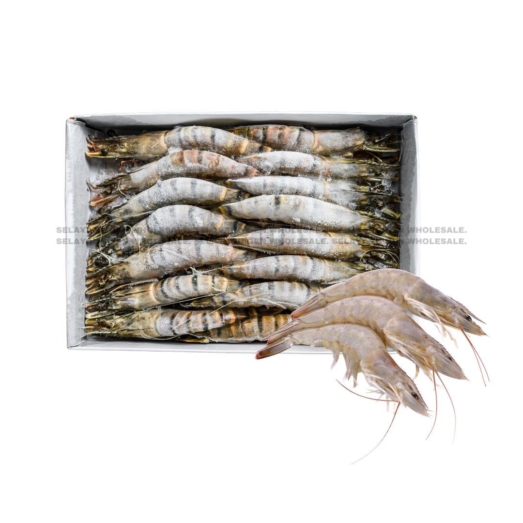 PRAWN White Prawn Head On - Selayang Gen Wholesale