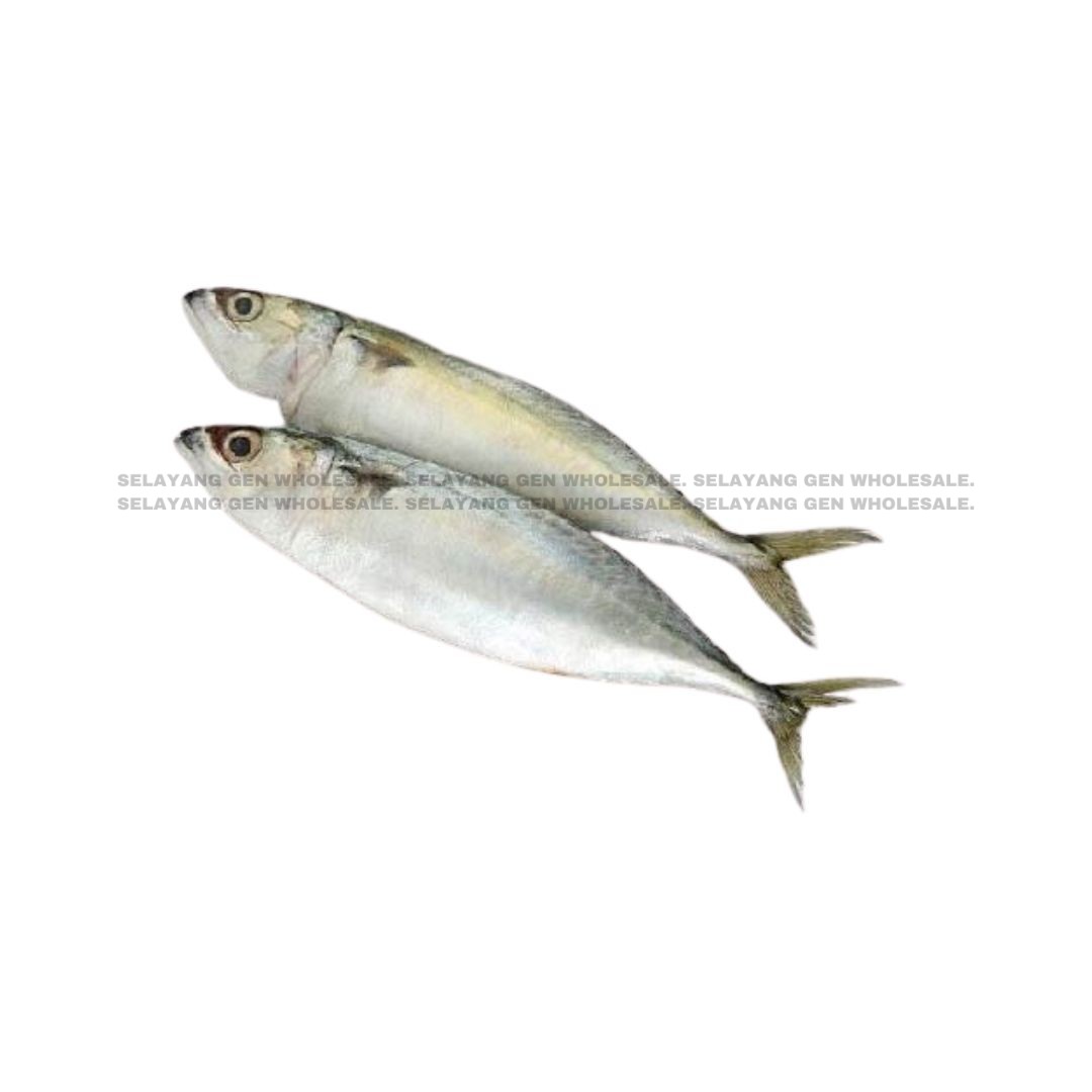 IKAN Mabong 6PCS - Selayang Gen Wholesale Sdn Bhd